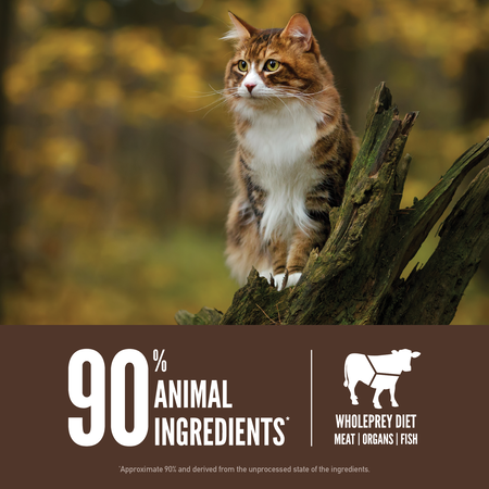 ORIJEN™ Regional Red™ Cat Food