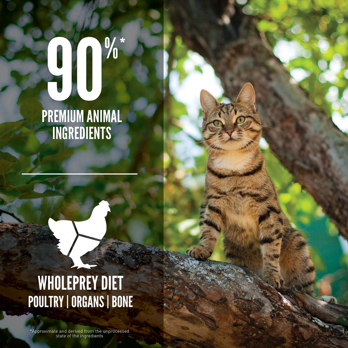 Guardian 8™ Dog & Cat Food | Nourish Your Pet As Nature Intended